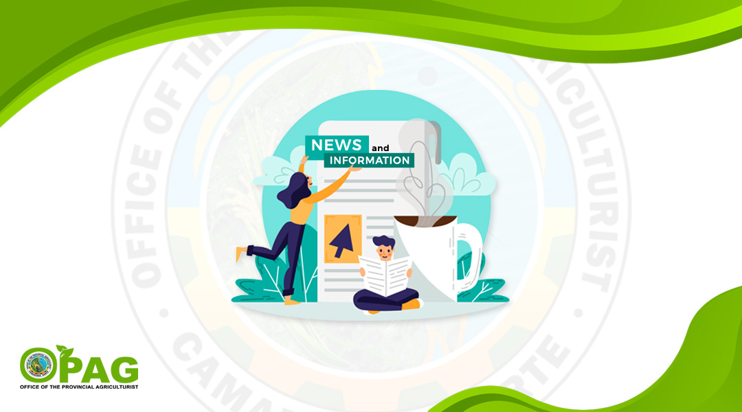 News and Information - OPAg